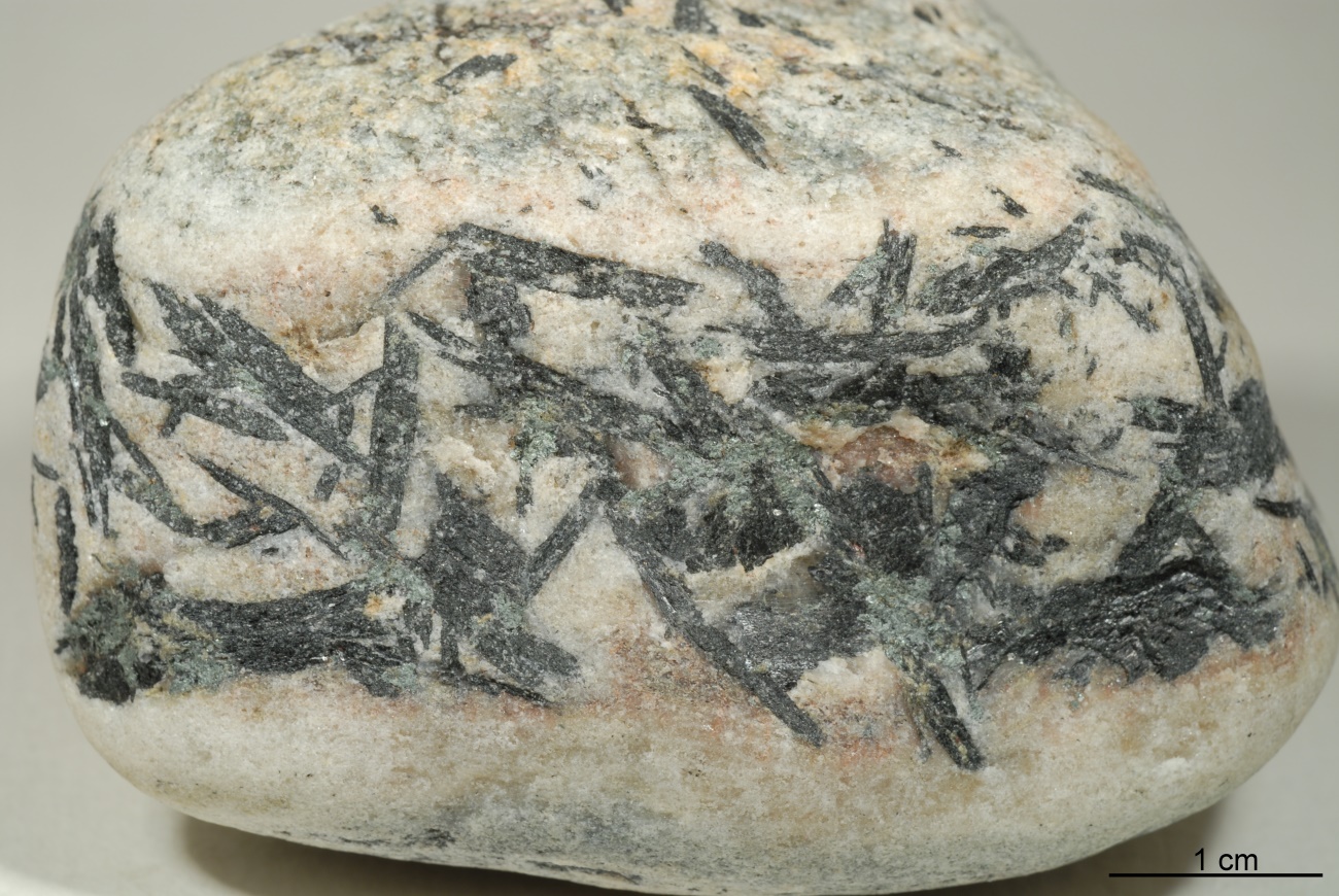 Amphibole - Hornblende