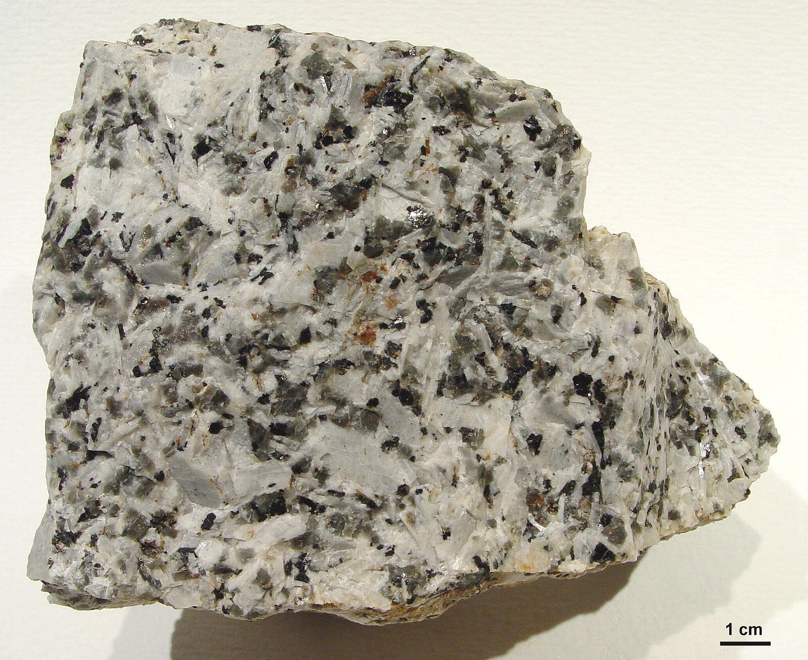 Nephelin-Syenit - ein foidführendes Leitgeschiebe aus Norwegen